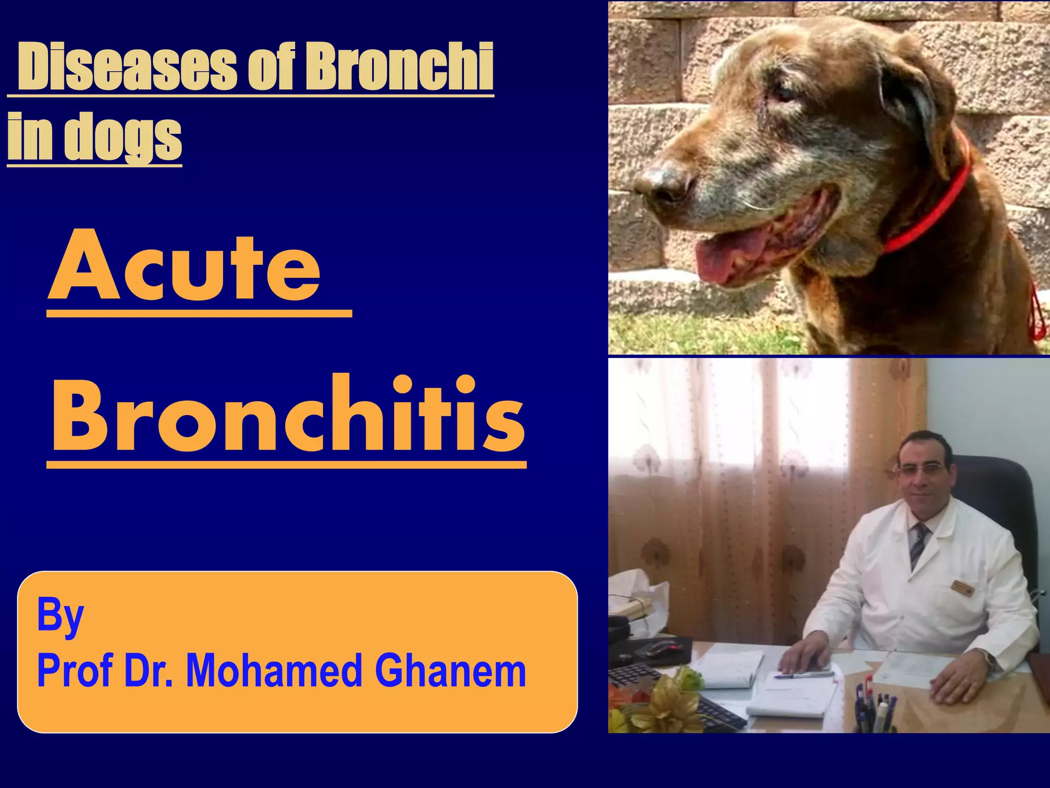 Acute bronchitis | PDF