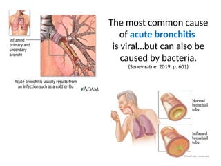 Nursing BScN Acute Bronchitis, Pneumonia, TB.pptx