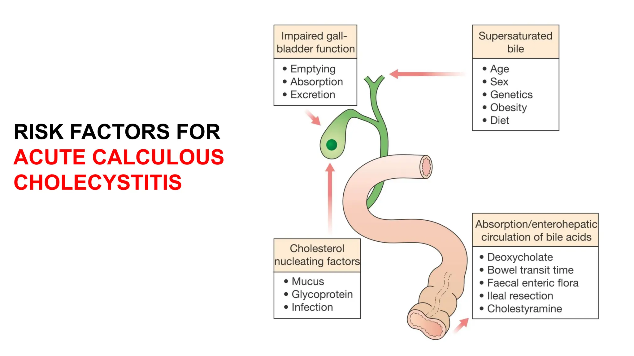 Latest guidelines in management of acalculous acute calculous ...