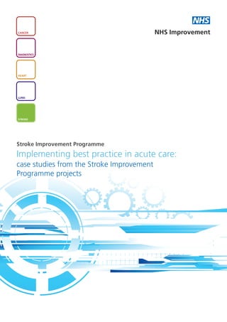 Implementing best practice in acute care: case studies from the Stroke ...