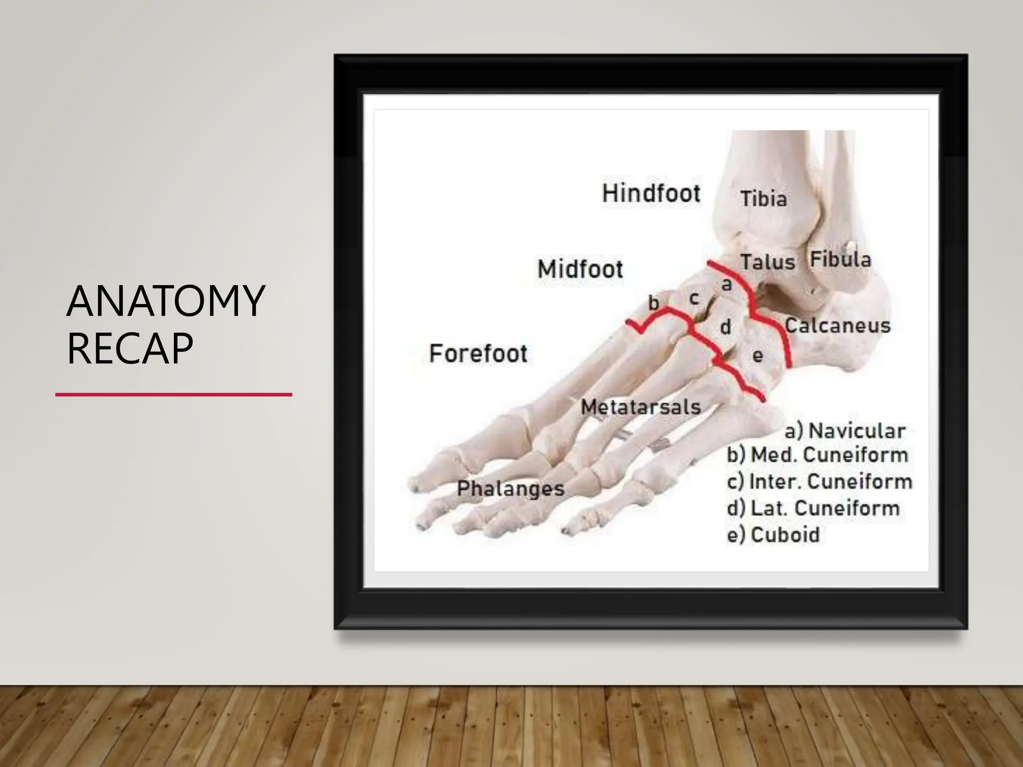 Acute care Ankle Fractures and how to treat them | PPT