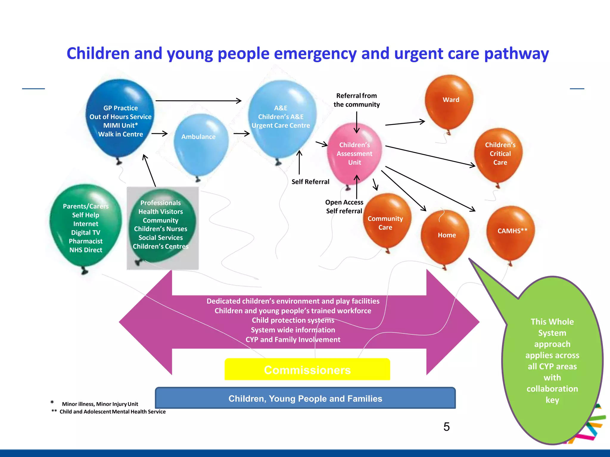 Acute care pathways for 131015 | PPTX