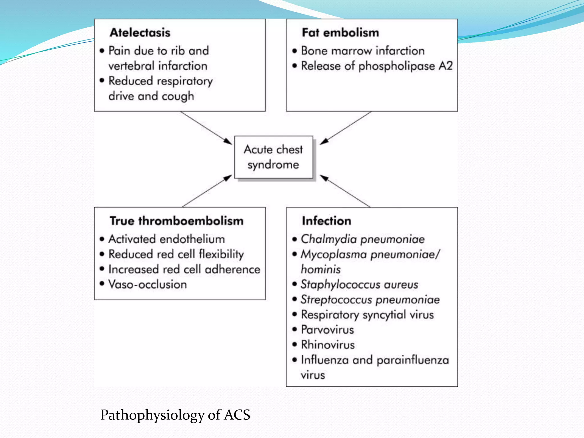 Acute chest syndrome | PPTX