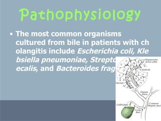 Acute cholangitis | PPT