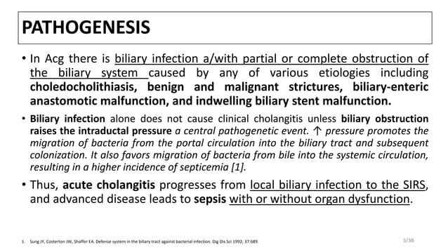 Acute cholangitis | PPTX | Digestive Disorders | Diseases and Conditions