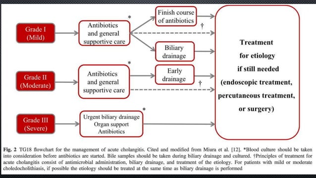 Acute cholangitis | PPTX