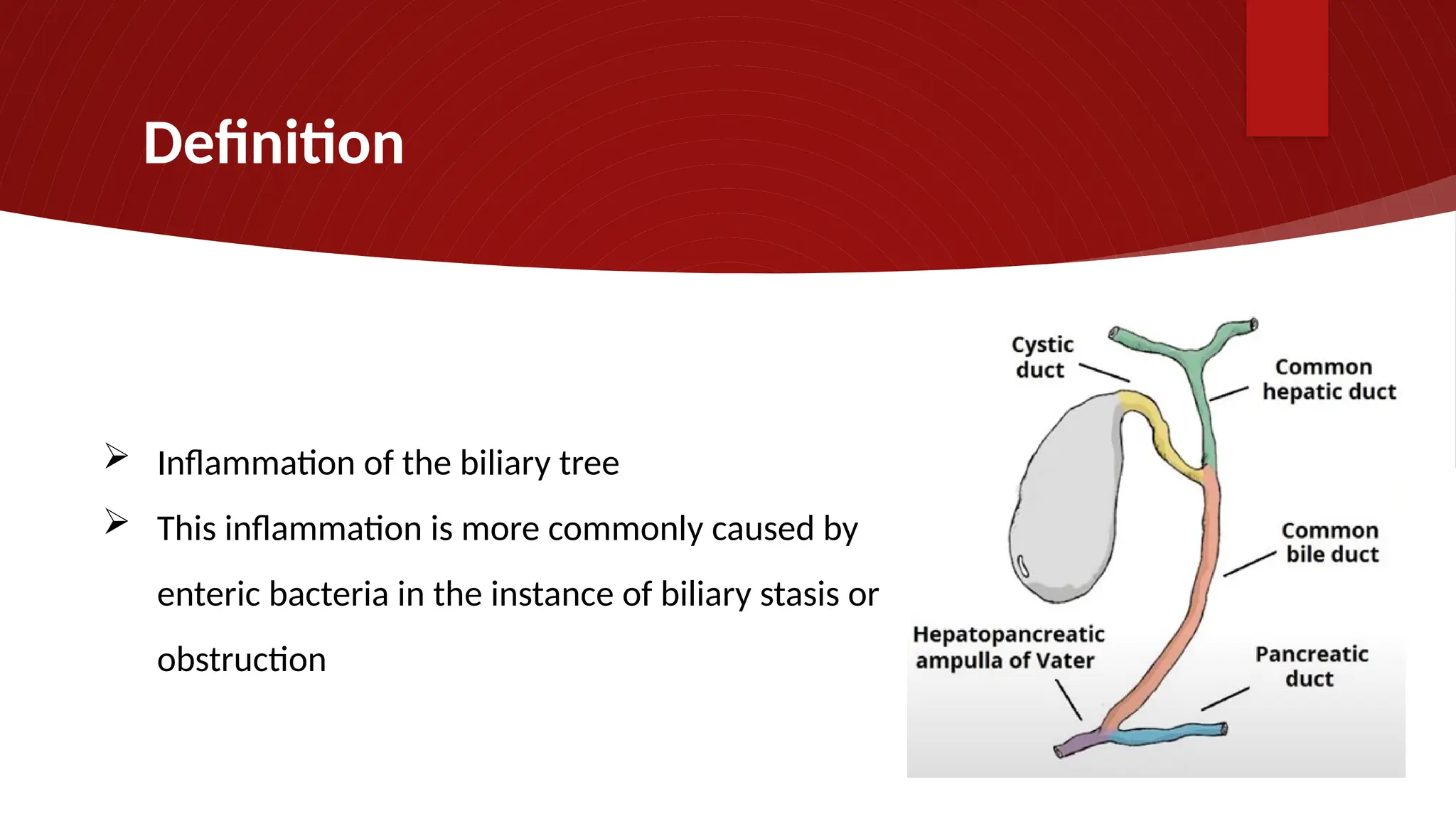 Acute Cholangitis Diagnostic Criteria And Management Pptx