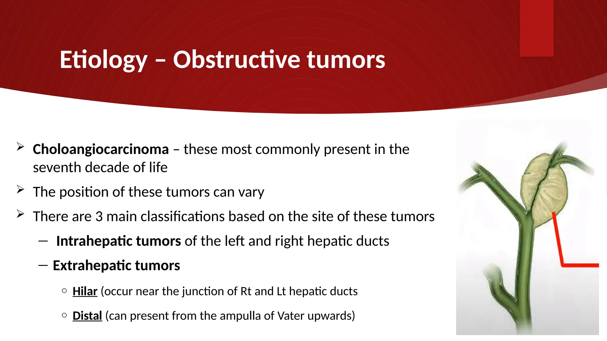 Acute Cholangitis Diagnostic Criteria And Management Pptx