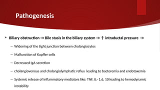 Acute Cholangitis: Diagnostic Criteria and Management.pptx