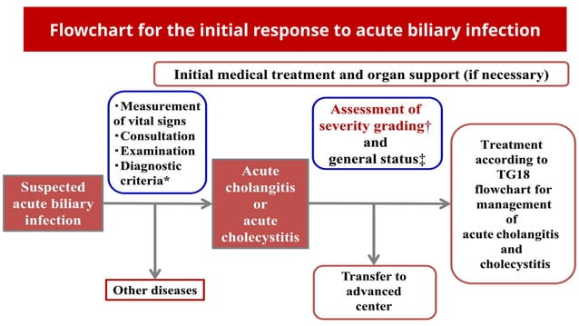 Acute Cholangitis Diagnostic Criteria And Management Pptx