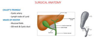 Acute cholecystitis.pptx