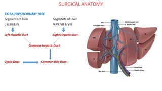 Acute cholecystitis.pptx