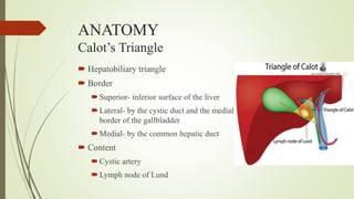 Acute Cholecystitis | PPTX