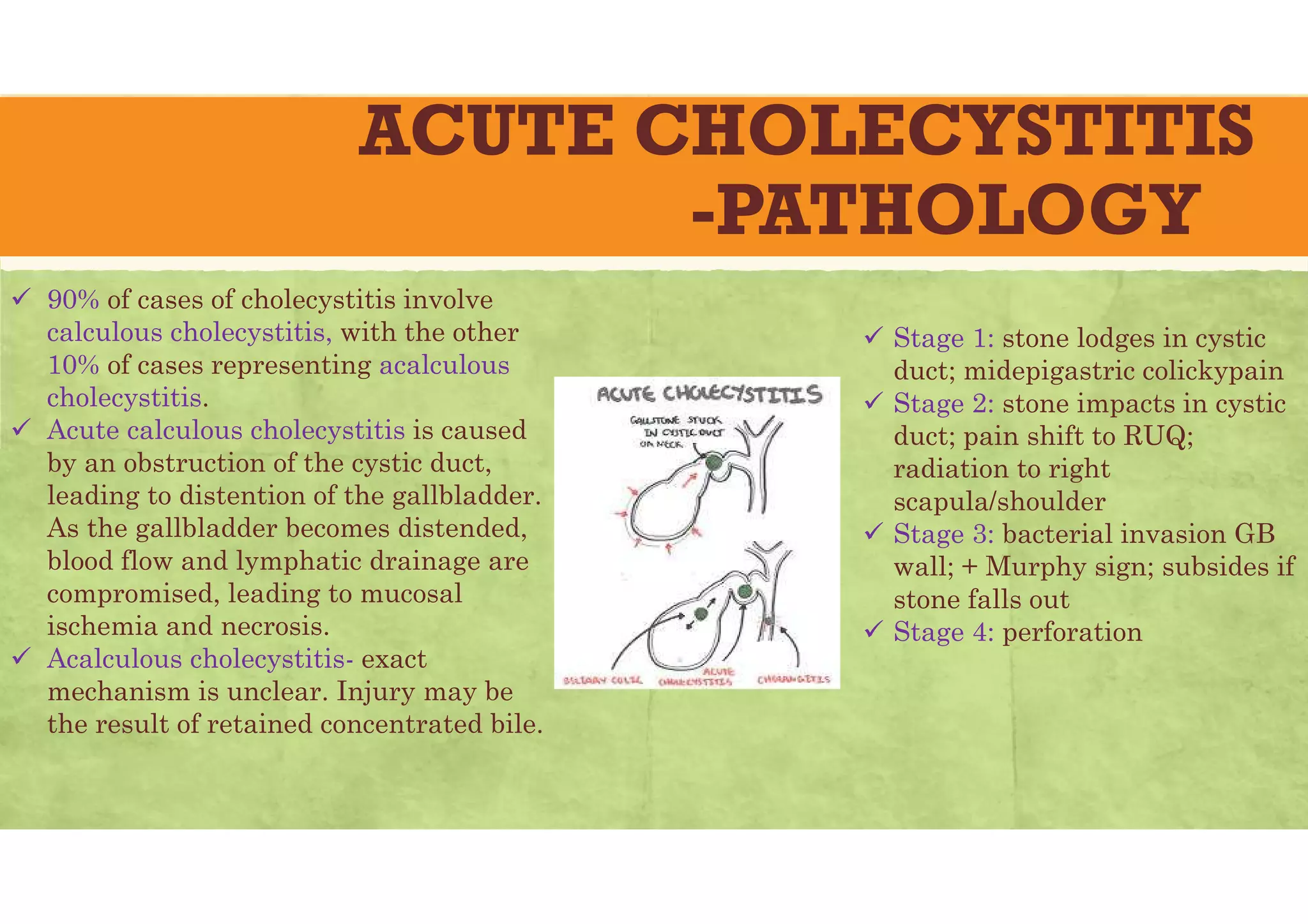 Acute cholecystitis/ RUQ Pain | PDF