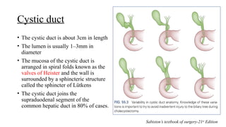 Acute cholecystitis by-Dr. Raju.pptx kist | PPT