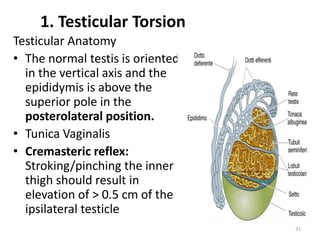 Acute Cholecystitis & Cholangitis - Tilayae.pptx