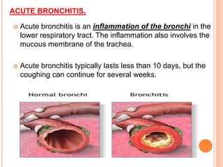 Acute and chronic Bronchitis & Nursing care | PPTX | Lung and ...