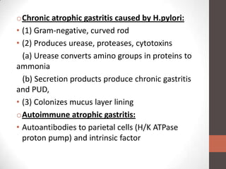 Acute & chronic gastritis | PPTX | Digestive Disorders | Diseases and Conditions