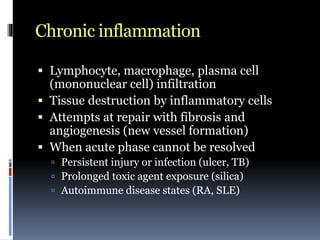 Acute chronic inflammation | PPTX
