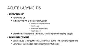 Acute Laryngitis