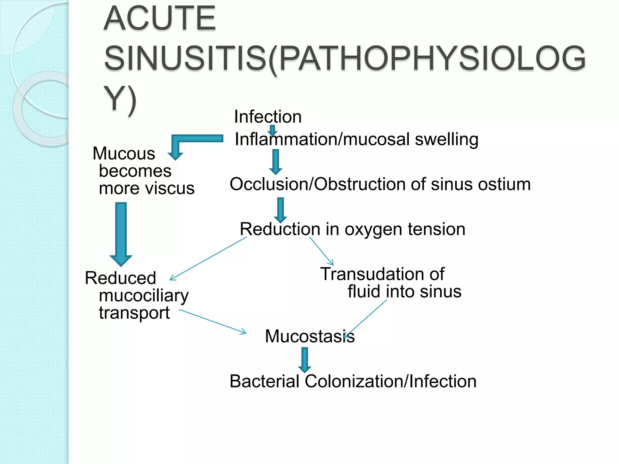 ACUTE & CHRONIC SINUSITIS.pptx