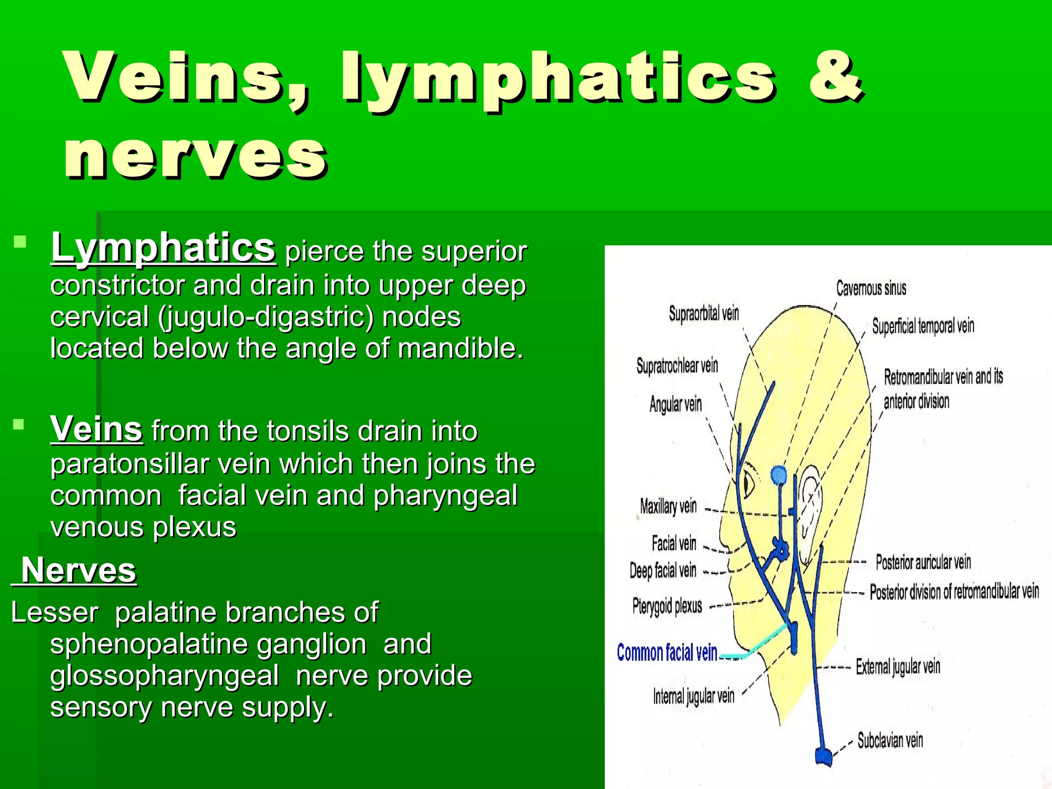 Acute & chronic tonsillitis and their management | PPT