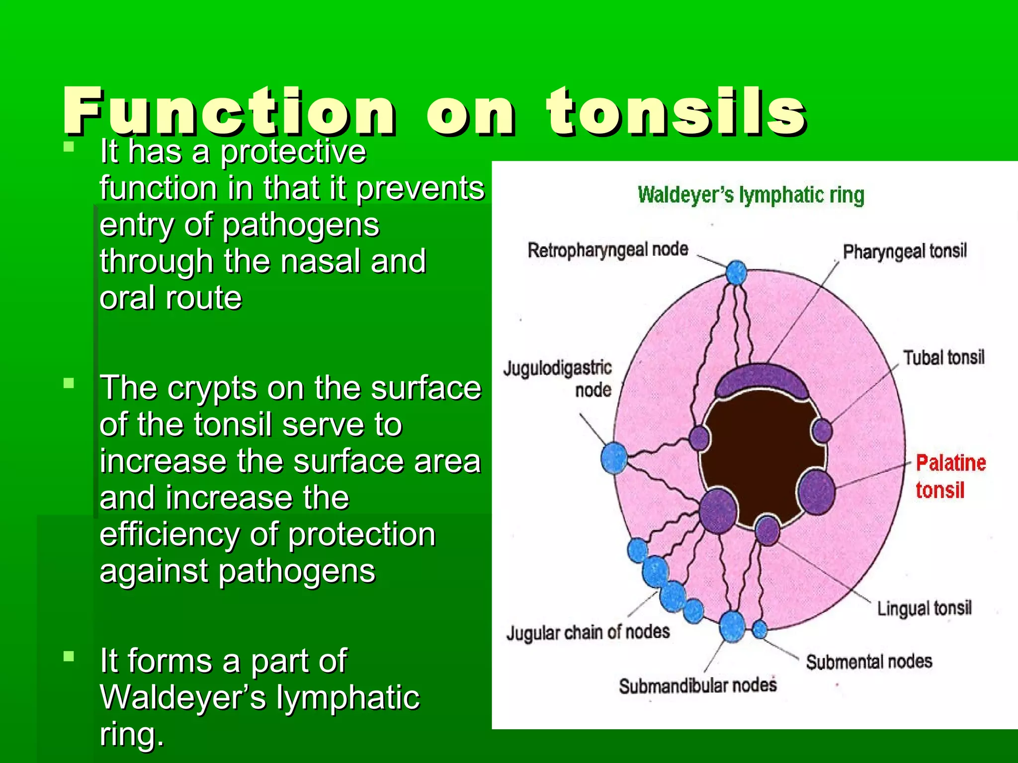 Acute & chronic tonsillitis and their management | PPT