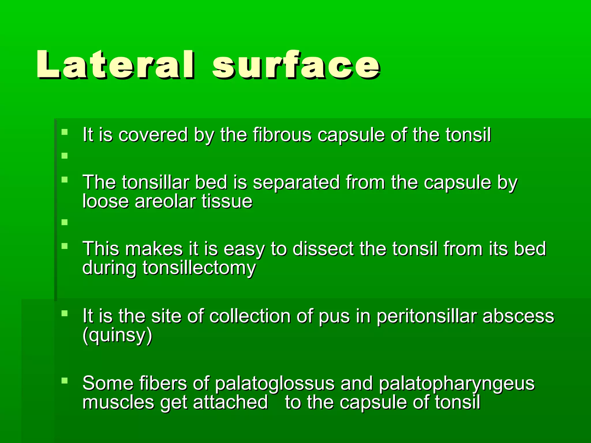 Acute & chronic tonsillitis and their management | PPT