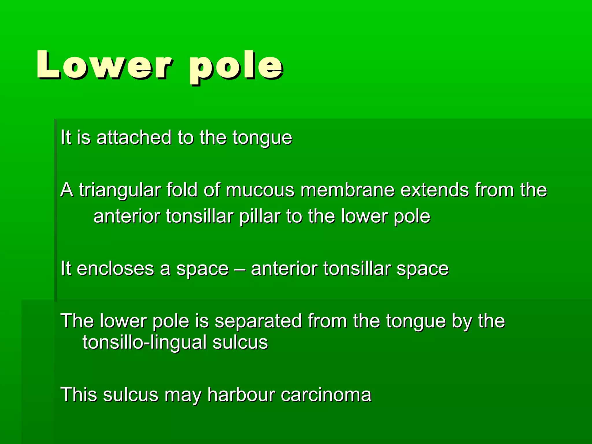 Acute & chronic tonsillitis and their management | PPT