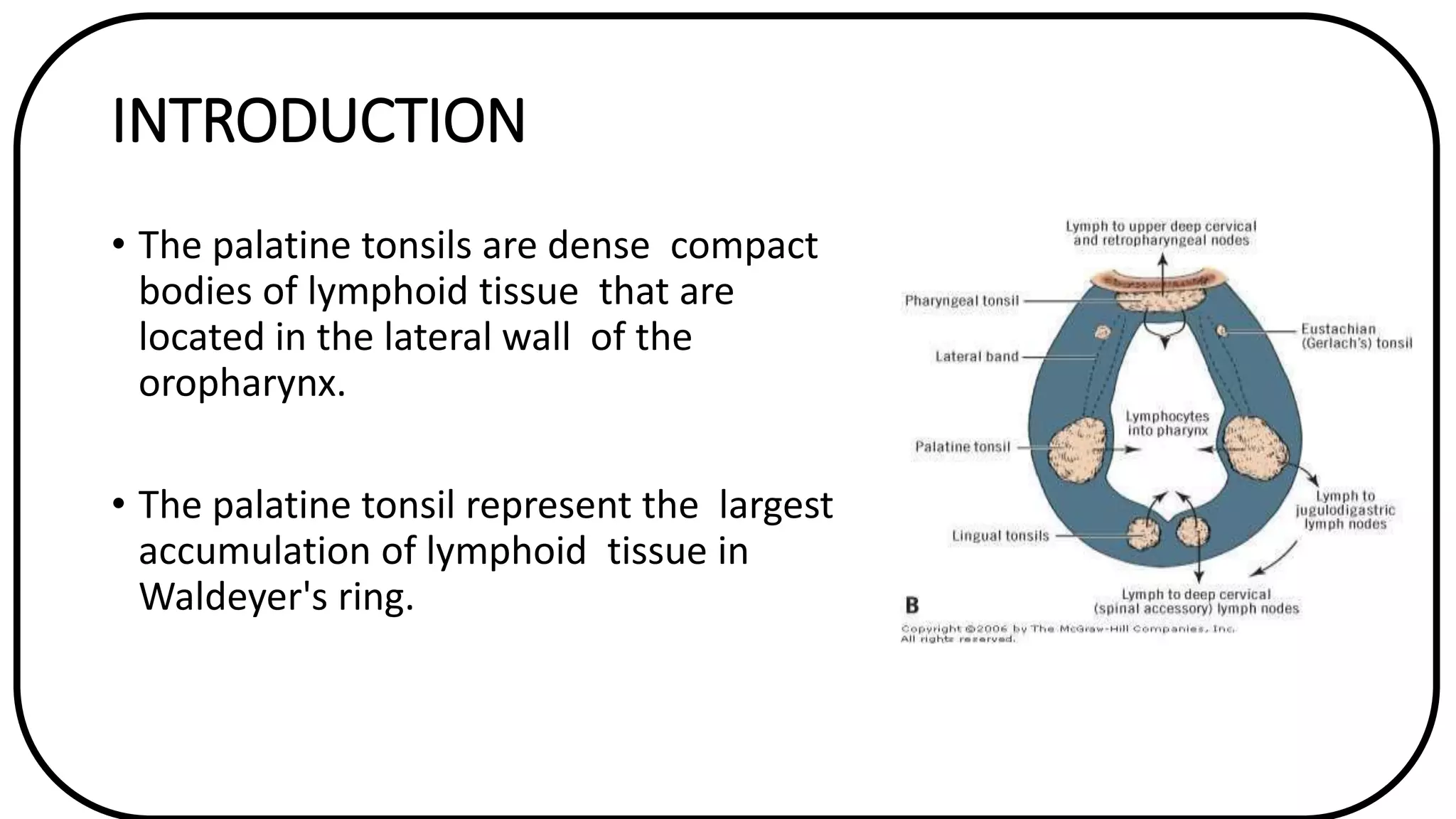 Acute and Chronic Tonsillitis | PPTX
