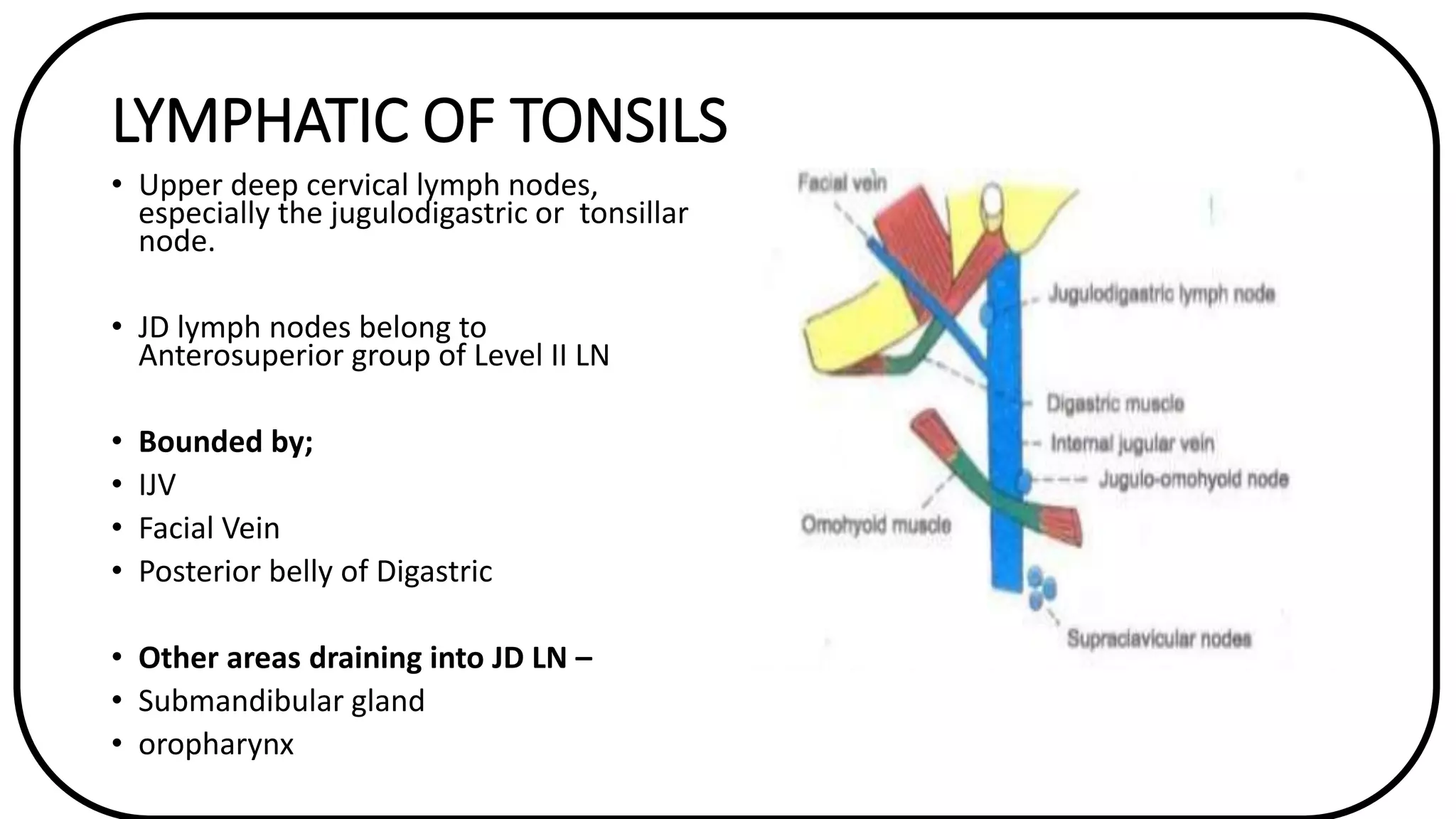 Acute and Chronic Tonsillitis | PPTX