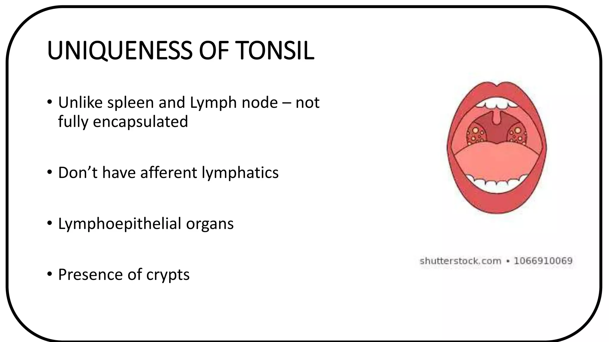 Acute and Chronic Tonsillitis | PPTX | Ear, Nose and Throat Conditions ...