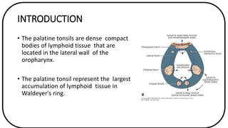 Acute and Chronic Tonsillitis | PPTX | Ear, Nose and Throat Conditions ...