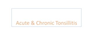 acute & chronic tonsillitis.pptx