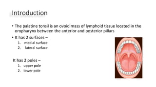 acute & chronic tonsillitis.pptx