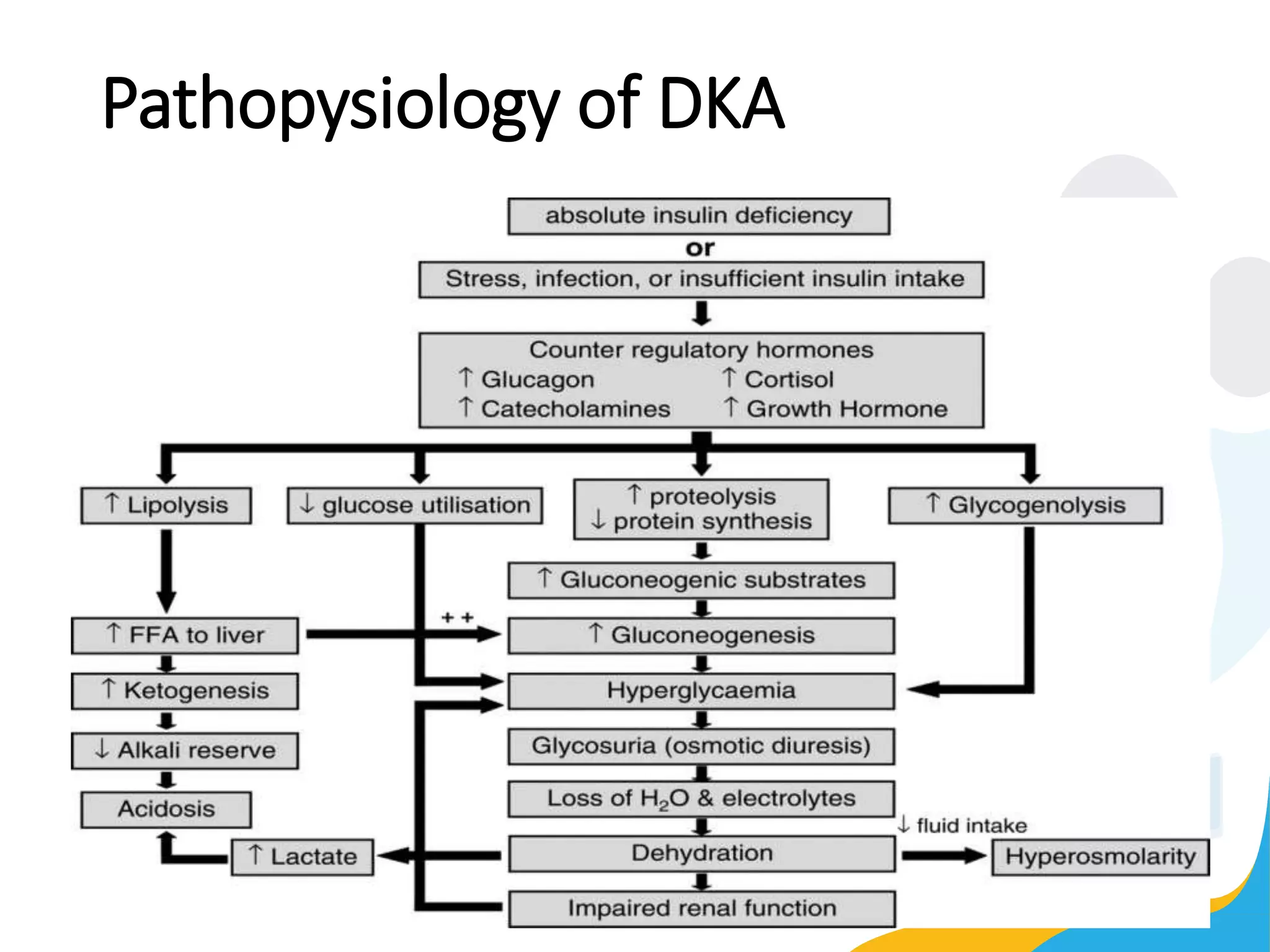 Acute complications of DM.pptx