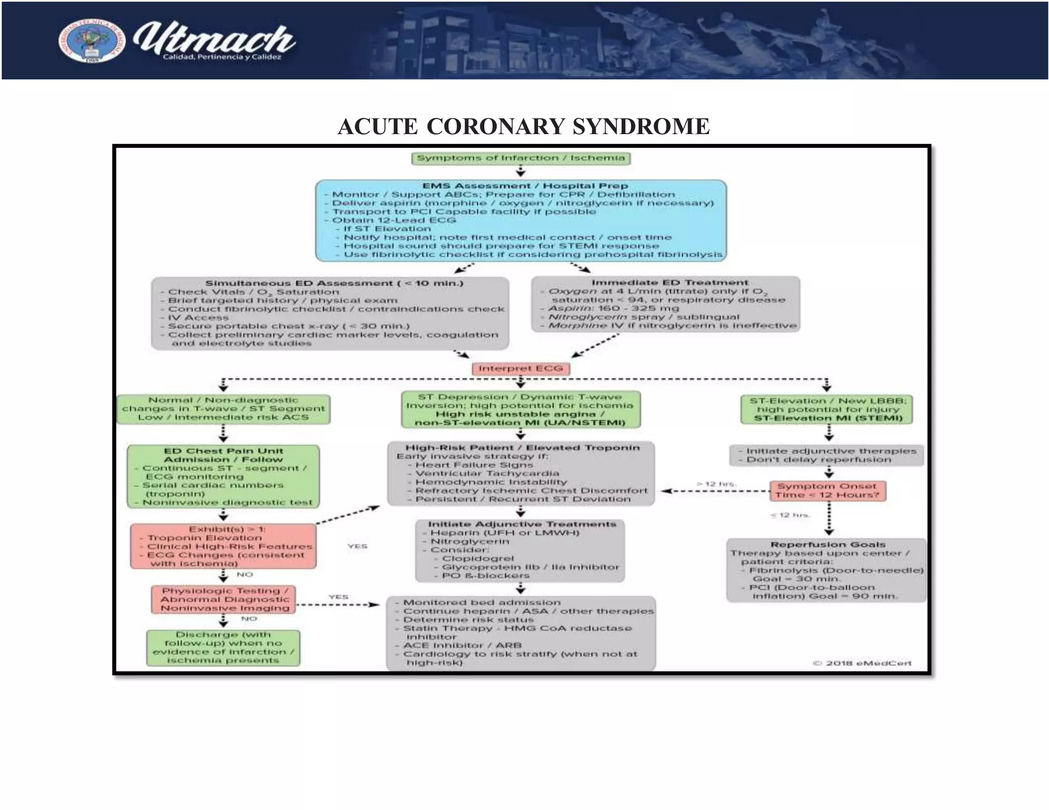 Acute coronary syndrome algorithm | DOCX