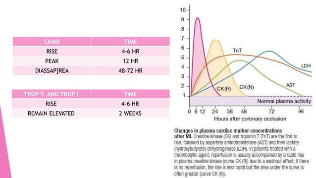 Acute coronary syndrome (acs) | PPTX | Heart and Cardiovascular ...