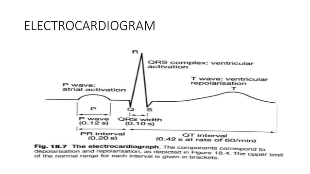 Acute coronary syndrome (acs) | PPTX