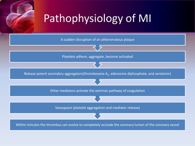 Acute coronary syndrome NSTEMI | PPTX | Heart and Cardiovascular ...