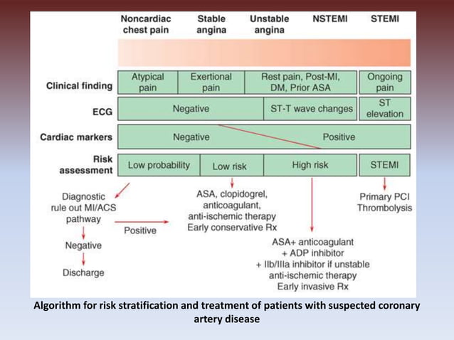 Acute coronary syndrome NSTEMI | PPTX | Heart and Cardiovascular ...