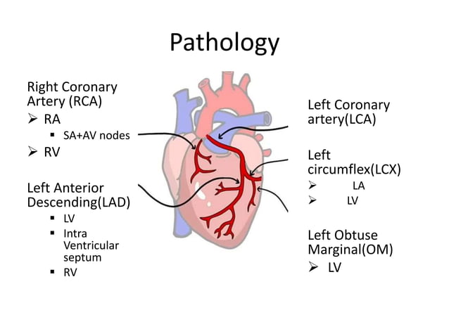 Acute Coronary Syndroms (ACS) by Feroz Khan RN.pptx