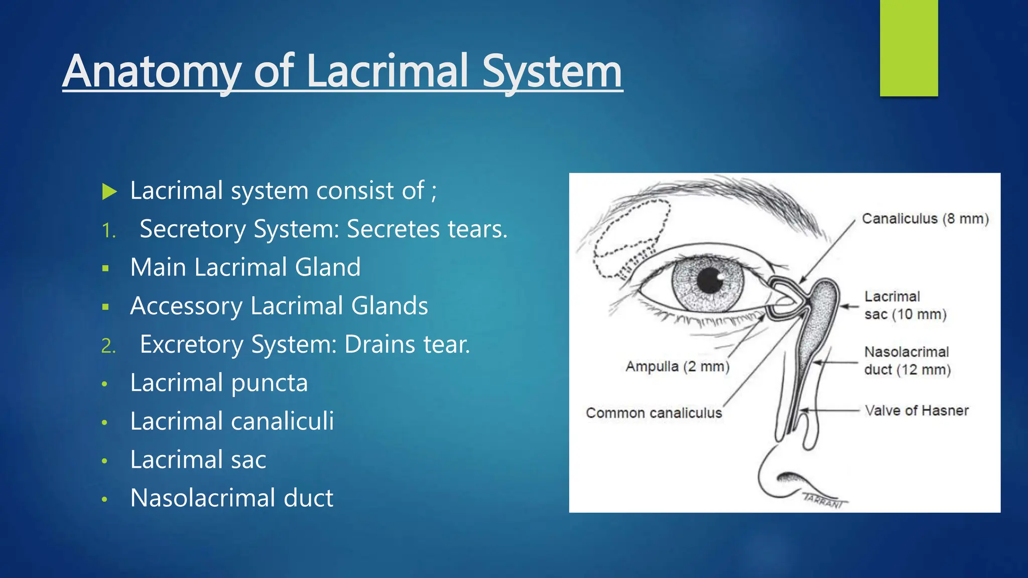 Acute Dacryocystitis | PPTX