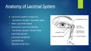 Acute Dacryocystitis | PPTX