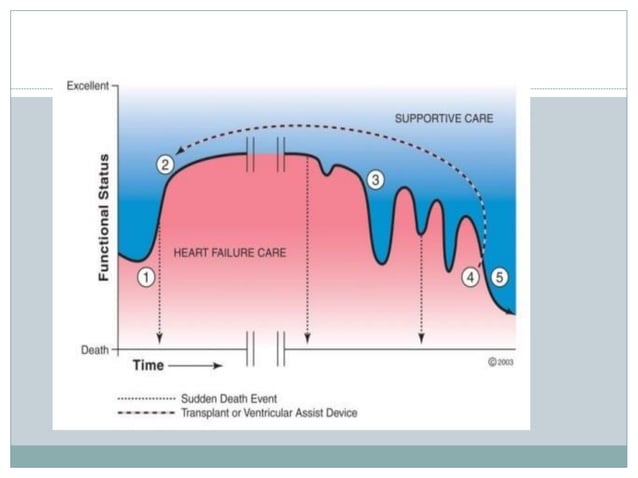 ACUTE DECOMPENSATING HEART FAILURE presentation for May 2017.pdf ...