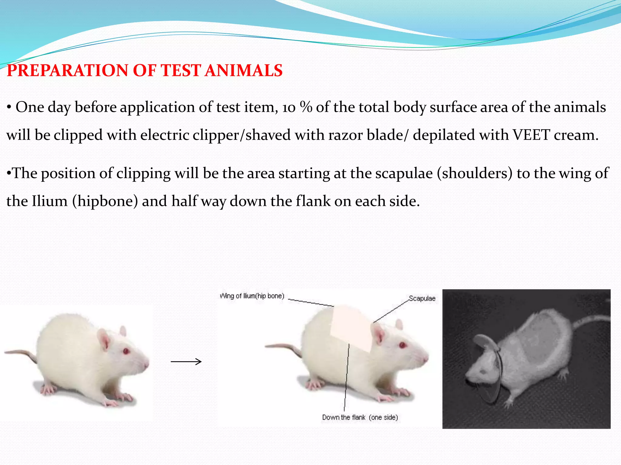 Acute dermal toxicity-402 | PPTX