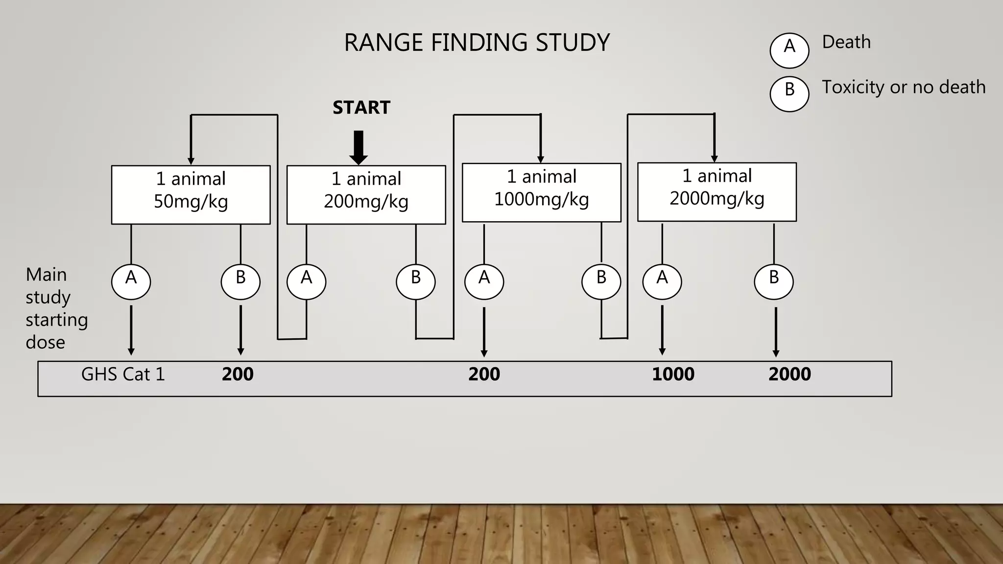 Acute dermal toxicity studies | PPTX