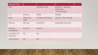 Acute dermal toxicity studies | PPTX