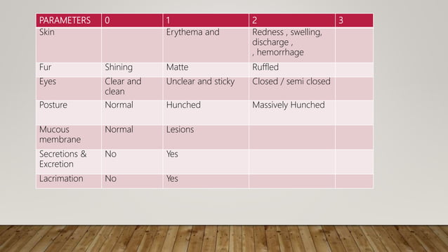 Acute dermal toxicity studies | PPTX