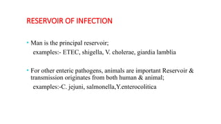 Acute diarreal disease for medical students.pptx